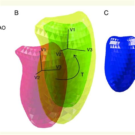A Example Of An Endocardial Lv Surface Obtained From The Download Scientific Diagram