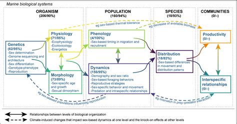 Sex Analysis In Marine Biological Systems Insights And Opportunities Gissi 2023 Frontiers