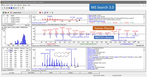 Ms Search 3 0 Screenshot