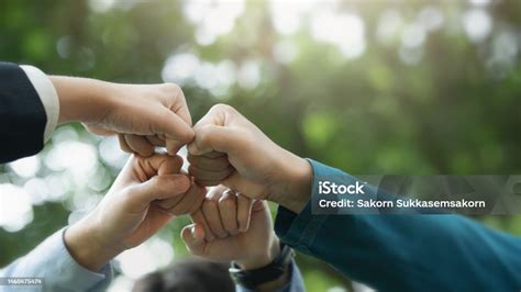 다양한 젊은 자원봉사자들의 비즈니스 팀워크 손을 내미는 비즈니스 팀 자원봉사 자선 사업 협력 환경 사업 성공적인 사업 협력 지속 가능한 자원에 대한 스톡 사진 및 기타