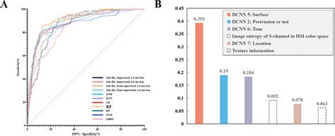 the performance of machine learning ml models and the weights of the