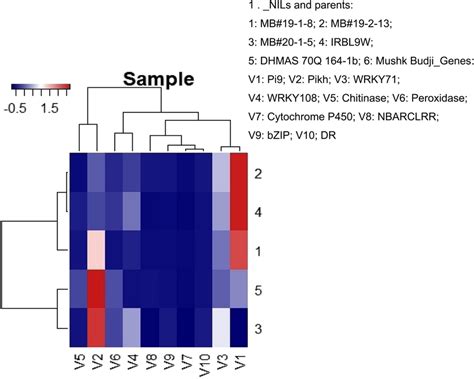 Heat Map Representing Expression Pattern Of Pi54 And Pi9 And Other