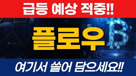 플로우 급등 예상 적중 여기서 쓸어 담으세요 플로우 플로우코인전망 플로우코인 플로우코인호재 플로우목표가 급등코인