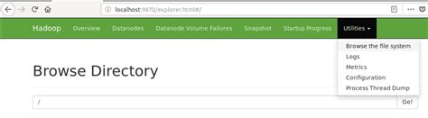 Hadoop Important Commands Database Tutorial