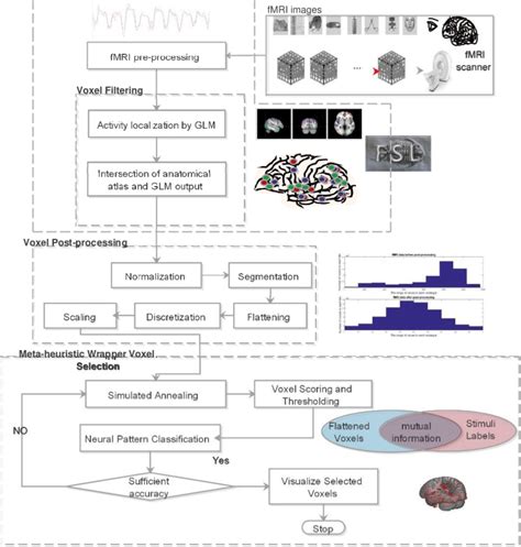 The Proposed Framework For Meta Heuristic Voxel Selection Based On