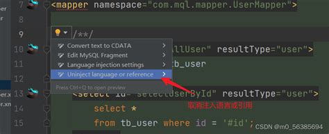 Idea的mybatis Mapper配置文件中使用快捷键生成注释出错idea Mybatis注解报错 Csdn博客