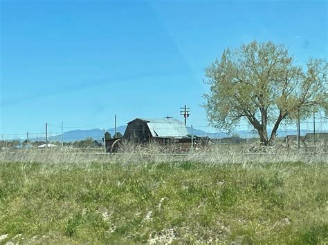 Izzy Bee And Izzy Bee And Daddy Take Over The World