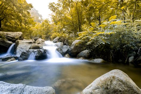 깊 은 산 속 의 시냇물 배경 깊은 산 시냇물 강 배경 일러스트 및 사진 무료 다운로드 Pngtree