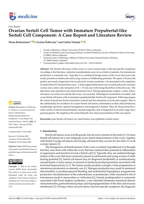 Pdf Ovarian Sertoli Cell Tumor With Immature Prepubertal Like Sertoli Cell Component A Case