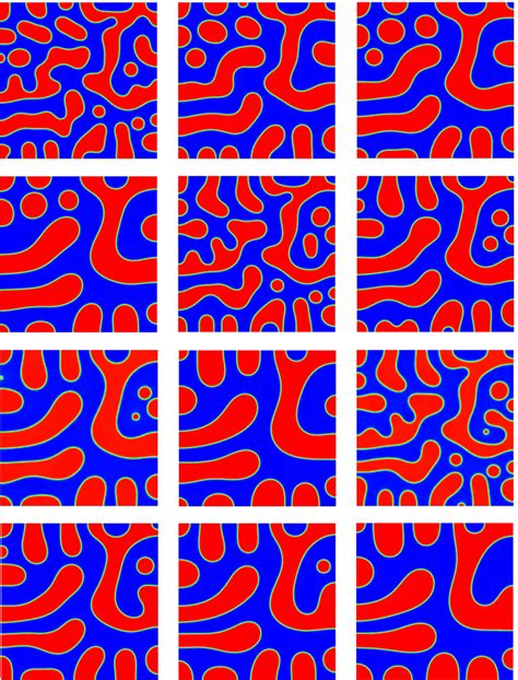 Case 2 Snapshots Of The Numerical Approximation Are Taken At T 1 2