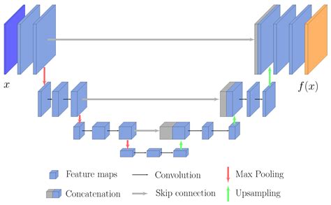 Tandem X Forest Mapping Using Convolutional Neural Networks