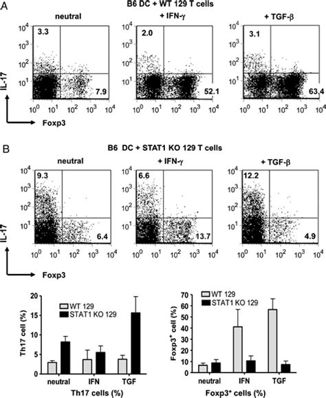 Non Redundant Role For Stat1 Signalling In The Reciprocal Development