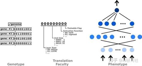 神经进化一种不一样的深度学习 知乎