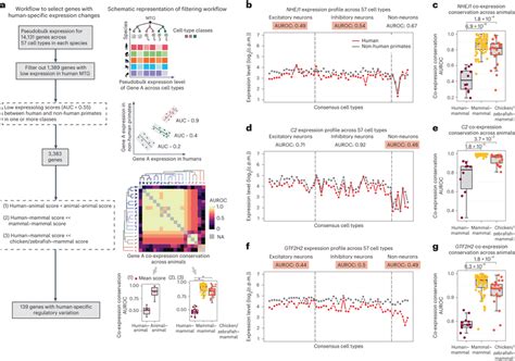 Integrative Analysis Of Single Nucleus And Bulk Transcriptomic Data Can
