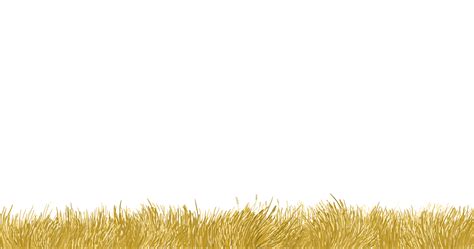 Cropdata Connecting Farmers Cropdata Connecting Farmers