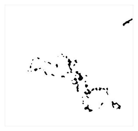 Image 4 Segmentation Results A Original Image B Grayscale Image