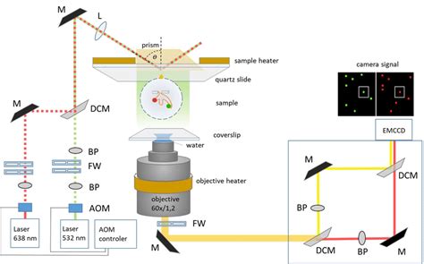 30 Scheme Of An Inverted Prism Based Total Internal Reflection Tirf