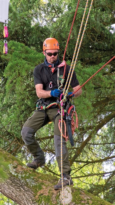 Arboricultural Association The Arb Show The Festival Of Tree Care Returns To Westonbirt