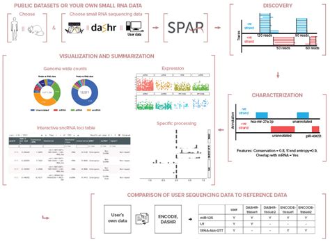Spar Small Rna Seq Portal For Analysis Of Sequencing Experiments Pngc