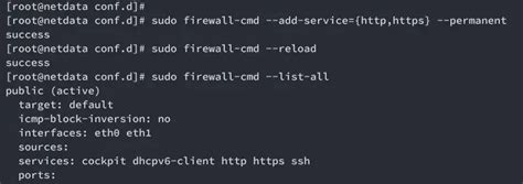 How To Install Netdata Monitoring Software On Almalinux 9