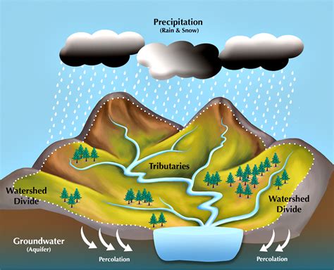 Types Of Drainage Basins At Lynda Tawney Blog