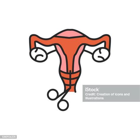 자궁 경부 생검 라인 색상 아이콘 여성 생식 시스템 검진 웹 페이지 모바일 앱 버튼 로고에 서명합니다 생검에 대한 스톡 벡터 아트 및 기타 이미지 Istock