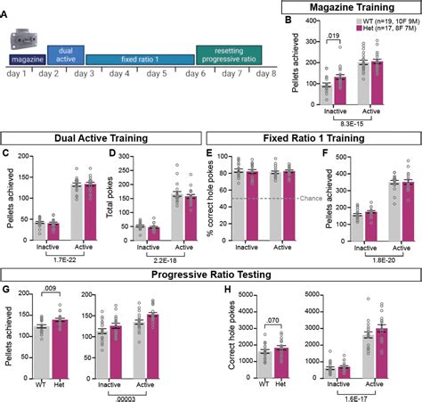 A Survey Of Hypothalamic Phenotypes Identifies Molecular And Behavioral Consequences Of Myt1l