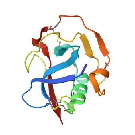 rcsb pdb 6k0l the crystal structure of simian cd163 srcr5