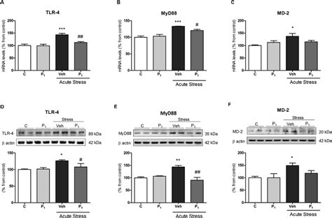 Paliperidone Effects On Acute Restraint Stress Induced Toll Like Download Scientific Diagram