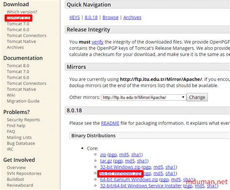 Apache Tomcat Kurulumu