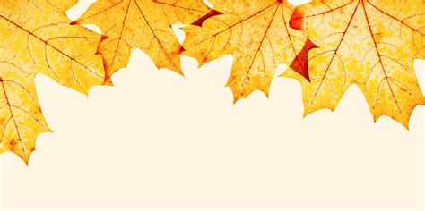 베이지 색 배경에 자연스러운 질감을 가진 가을 붉은 노란색 단풍 나무 잎의 프레임 복사 공간이있는 흑백 배너 자연 타락한 가을 잎 계절 가을 단풍 식물 배너 10월에 대한