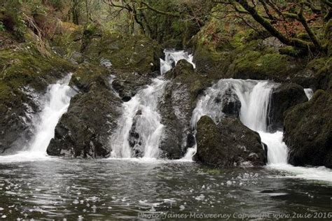 Three Way Split Today Is My Gift To You