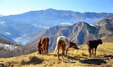 Pamporovo, Bulgaria 2024: Best Places to Visit - Tripadvisor