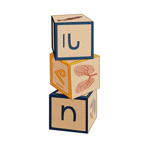 Syllabic And Roman Orthography Wooden Blocks Arvaaq Press Inhabit Education Books