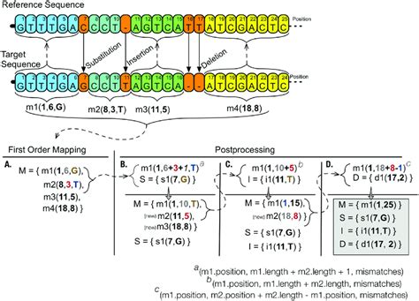 Post Processing In This Example We Explain The Post Processing Phase