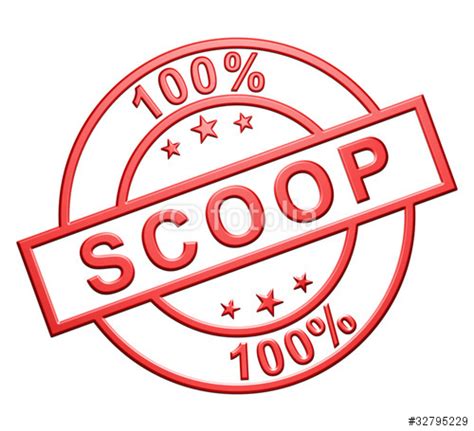 quiz c est un scoop société