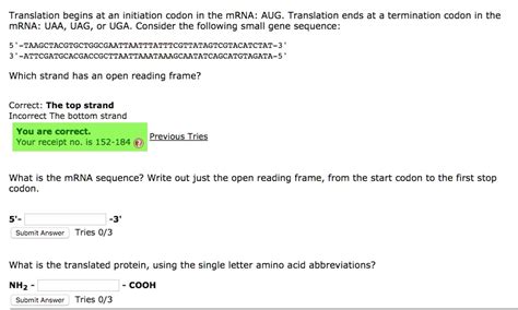 Solved Translation Begins At An Initiation Codon In The Mrna Aug Translation Ends At A