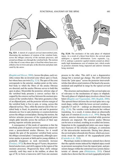 Pdf Functional Anatomy Of The Spine Dokumentips Pdf Functional Anatomy Of The Spine Dokumentips