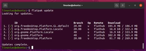 How To Use Flatpak On Linux A Comprehensive Guide