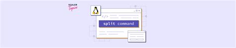 Split Command In Linux Scaler Topics