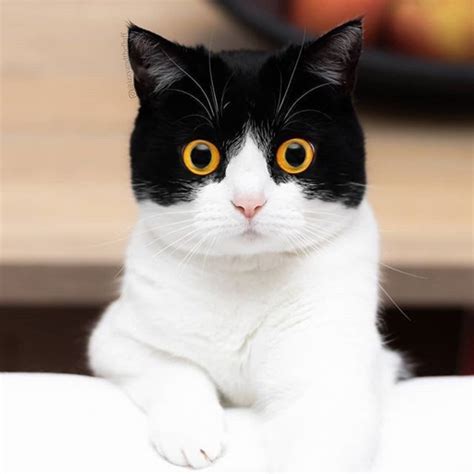 Atcoder Beginner Contest 399 Standings Clist