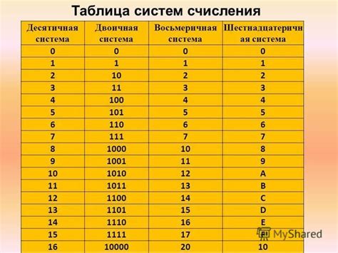Тесты по Информатике Проверь свои знания сам