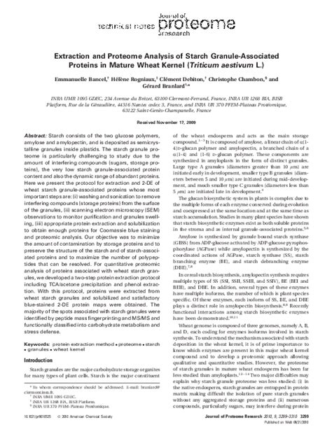 Pdf Extraction And Proteome Analysis Of Starch Granule Associated Proteins In Mature Wheat