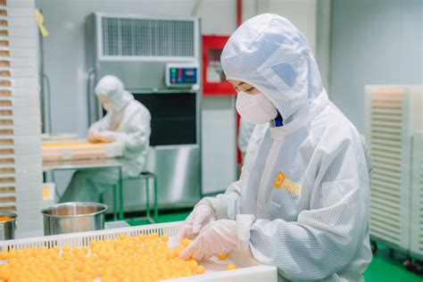 About Us Donna Mello