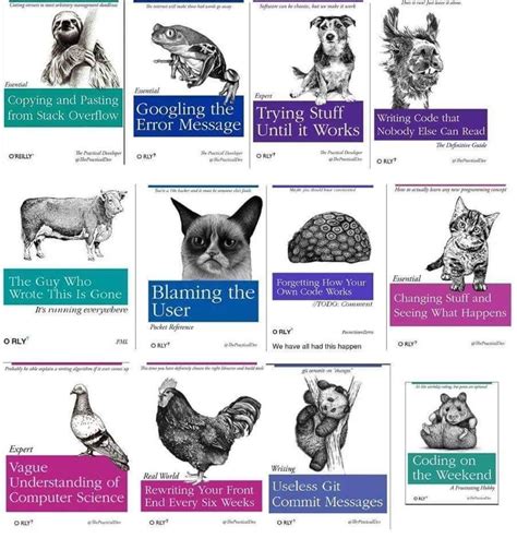 Programming Meme Review 1 Codelove