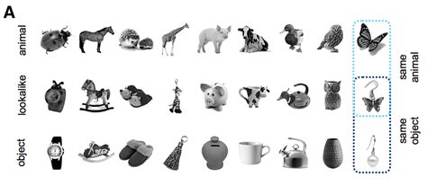 Github Orhansoyuhosadvanced Hands On Fmri Analysis Class This