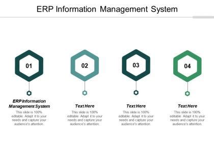 ERP Information Technology PowerPoint Presentation And Slides SlideTeam