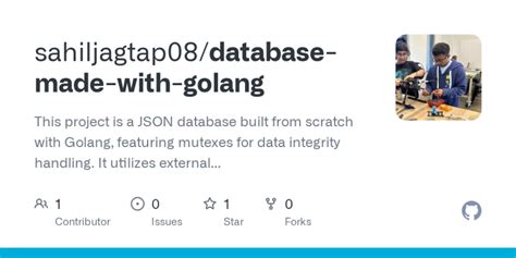 Made A Json Database With Golang Sahil Jagtap Posted On The Topic Linkedin