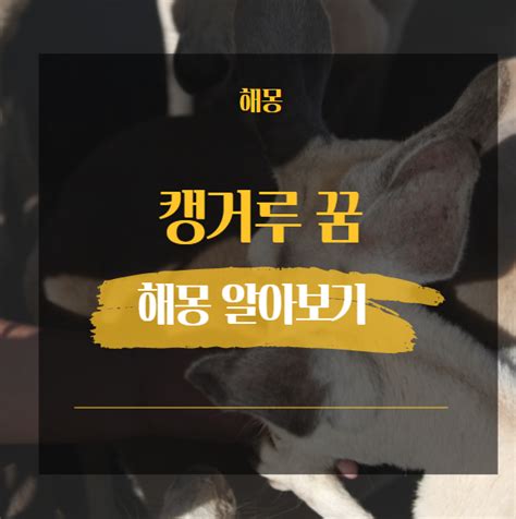 캥거루 꿈 해몽 해석 모음 20가지 모음