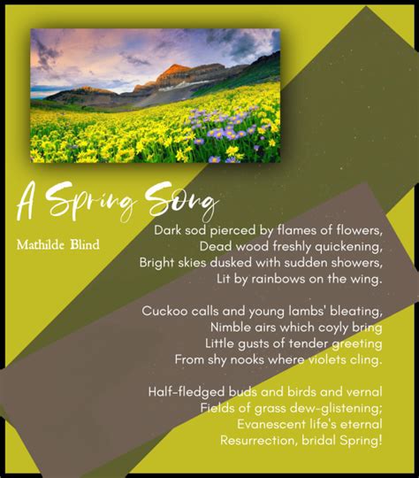 Spring Poems Celebrating The Beauty Of Spring